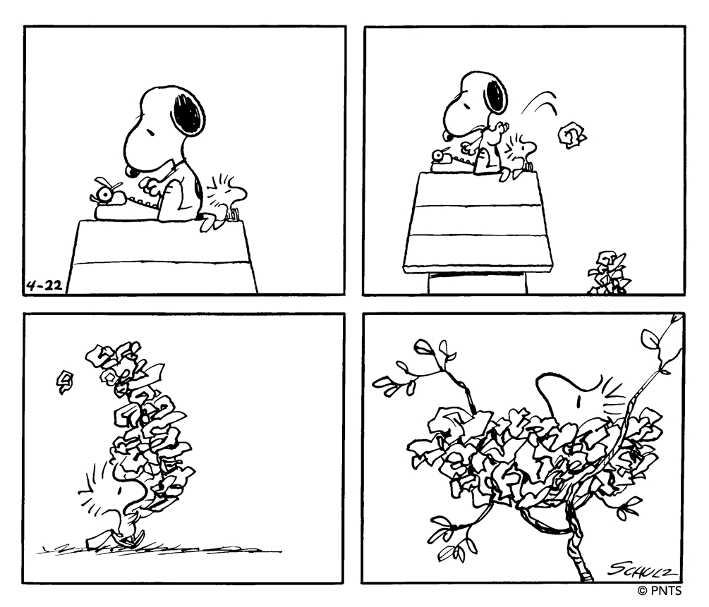 From Rejection to Redemption and Finding Strength Through Grief - D.W ...